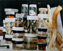 Zoology: Smithsonian Collections