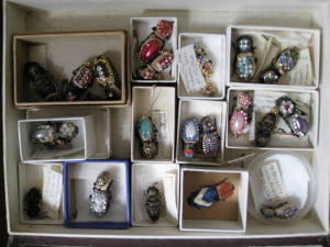 Zoology: Smithsonian Collections