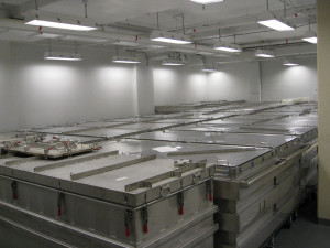 Zoology: Smithsonian Collections